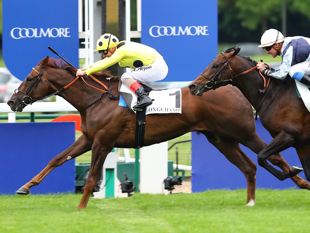 ZABEEL PRINCE (IRE) - Varian Stables