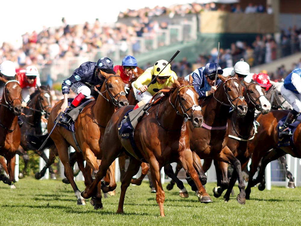 Stable stars head to Champions Day - Varian Stables