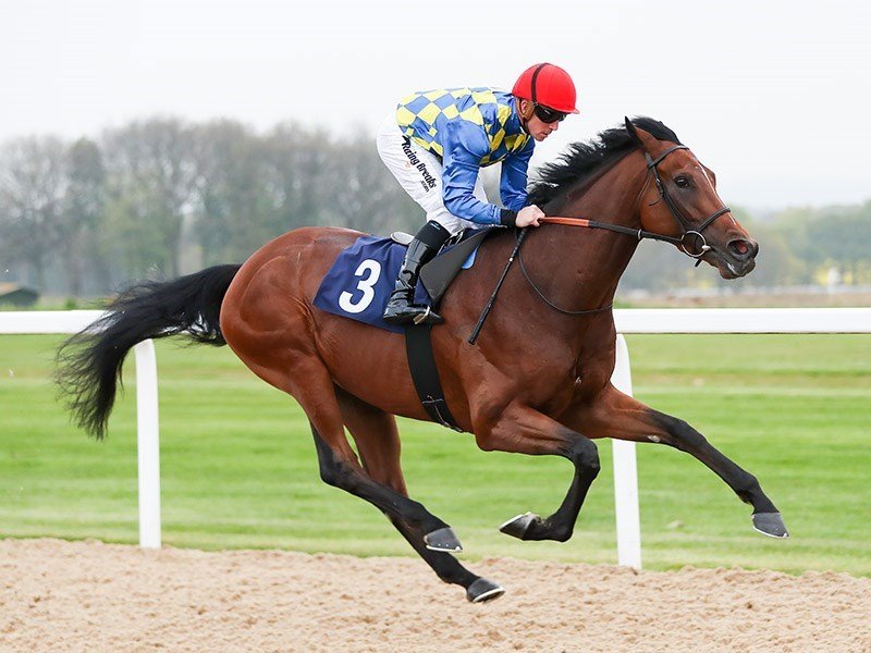 A sparkling performance from Surfman contributes to a mid-week treble ...