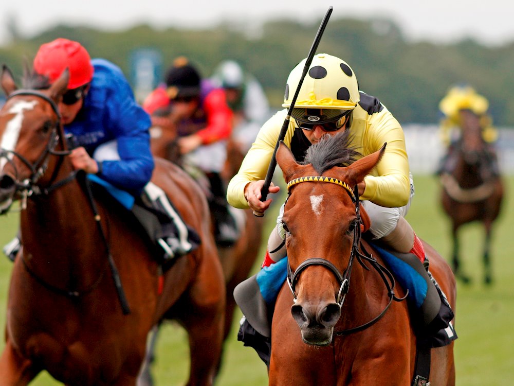 Horses in good order with doubles at Ascot and Doncaster - Varian Stables