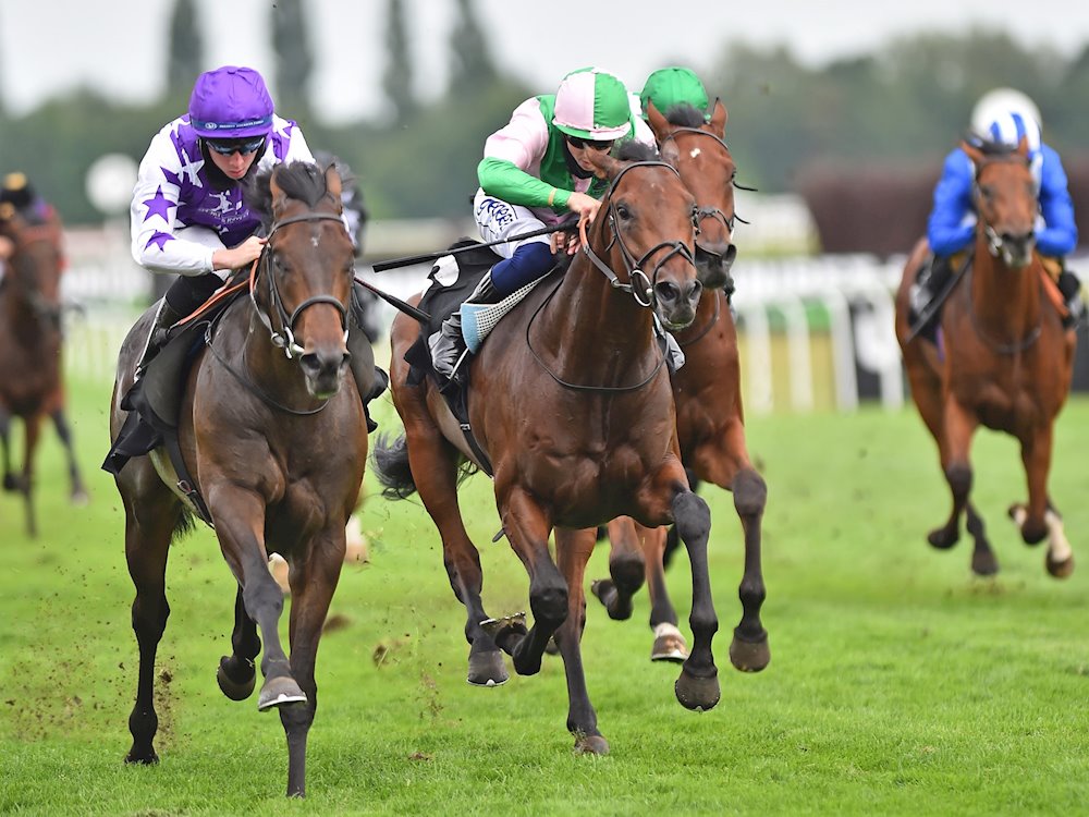 Baradar wins on debut for Amo Racing - Varian Stables