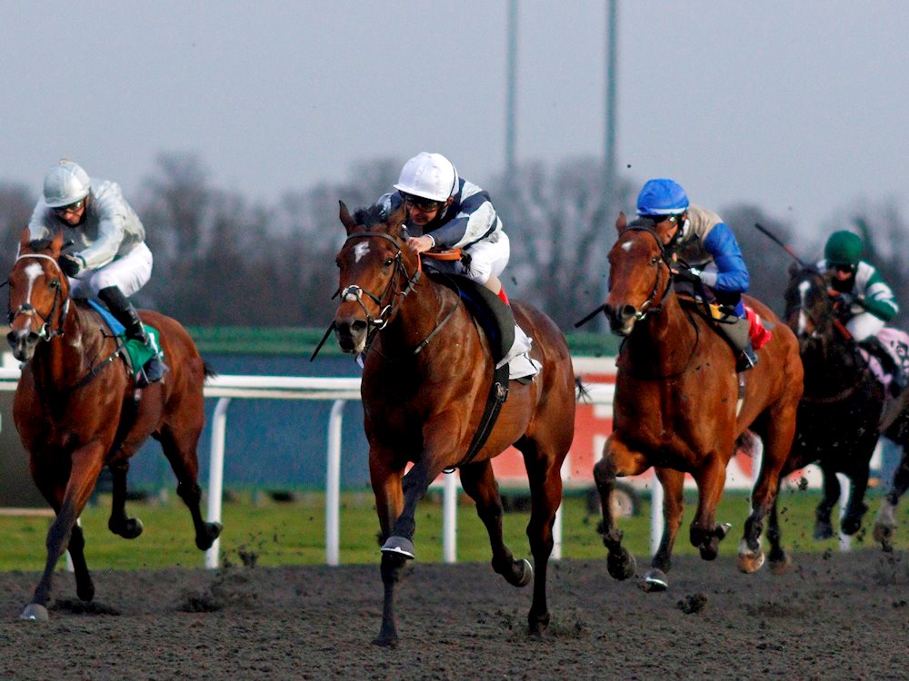Troll Peninsula shines under the spotlights at Kempton - Varian Stables