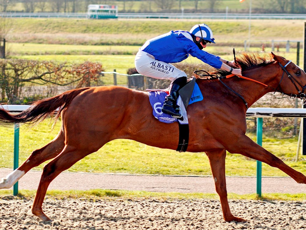 Shadwell's homebred KHUZAAM wows on All-Weather finals day - Varian Stables