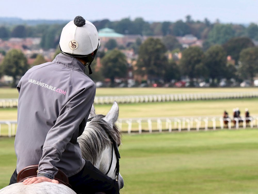 ZAMEKA gets off the mark at Wolverhampton - Varian Stables