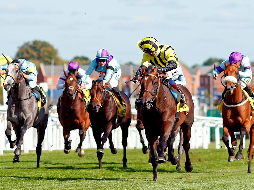 A day to remember - the magnificent seven! - Varian Stables