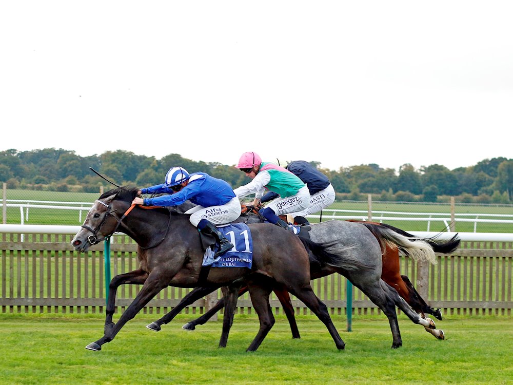 The form continues with another treble for the yard! - Varian Stables