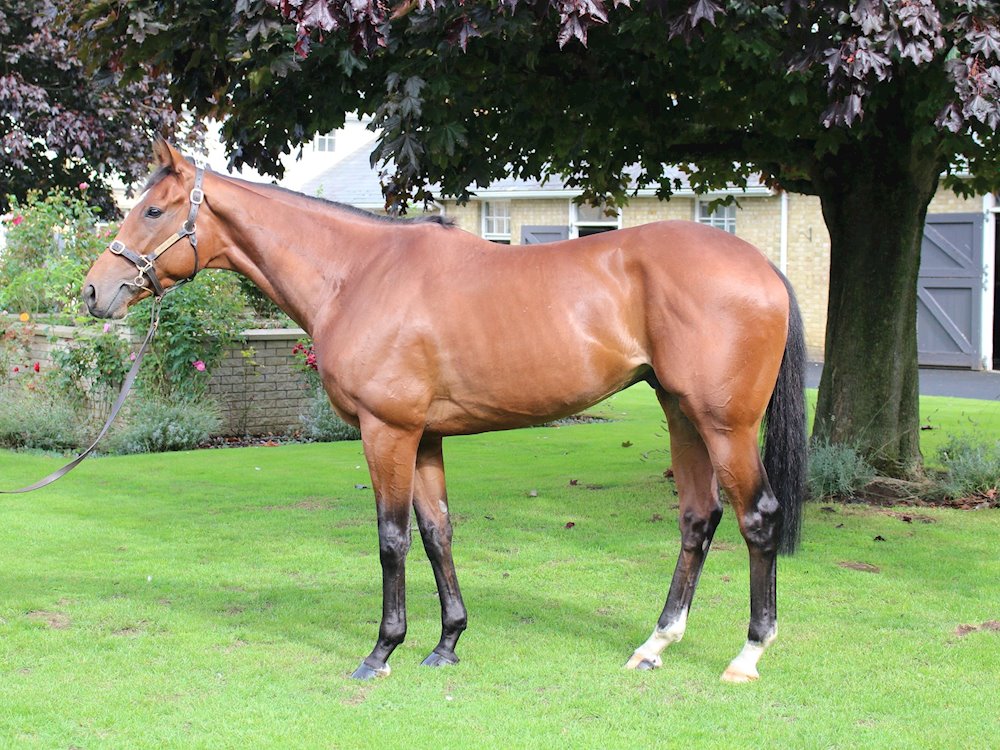 A good start to the week with a double from RESOLUTE MAN and BROADSPEAR ...