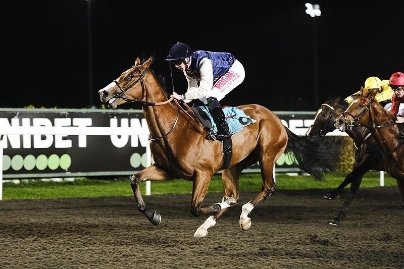 TYNDRUM GOLD sparkles on debut! - Varian Stables