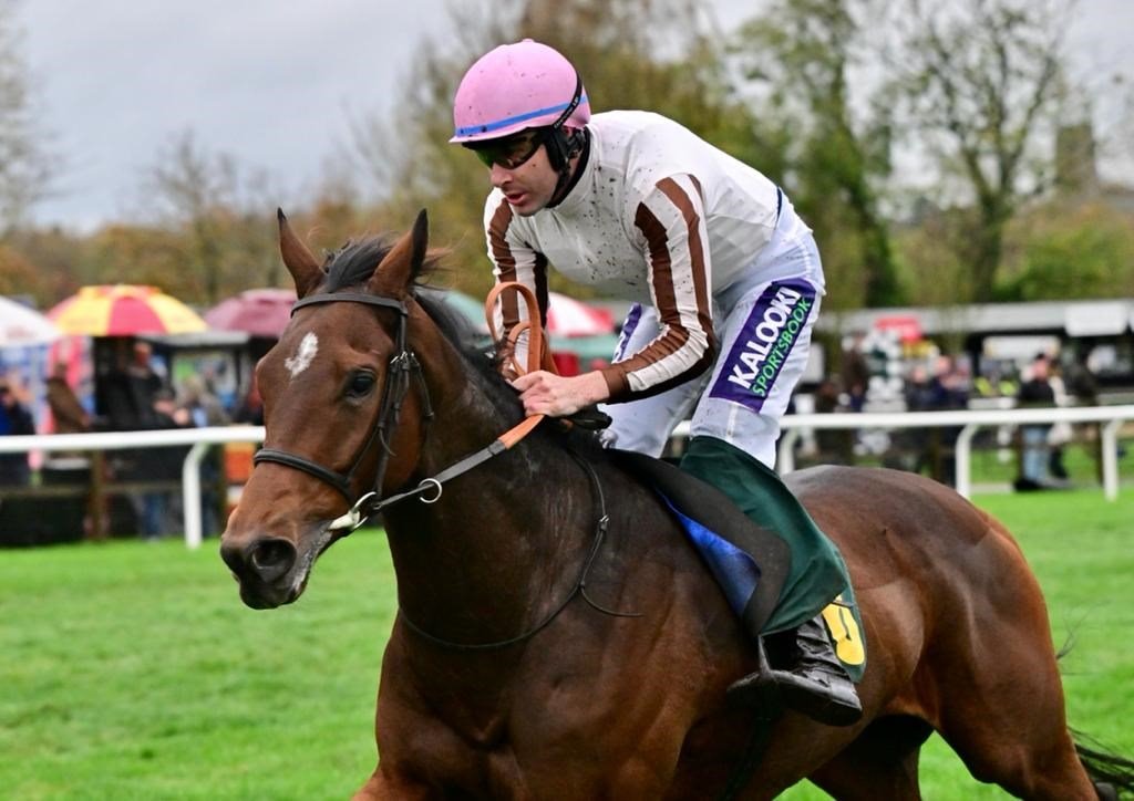 One for the history books! SHINJI lands a first NH-sphere success ...