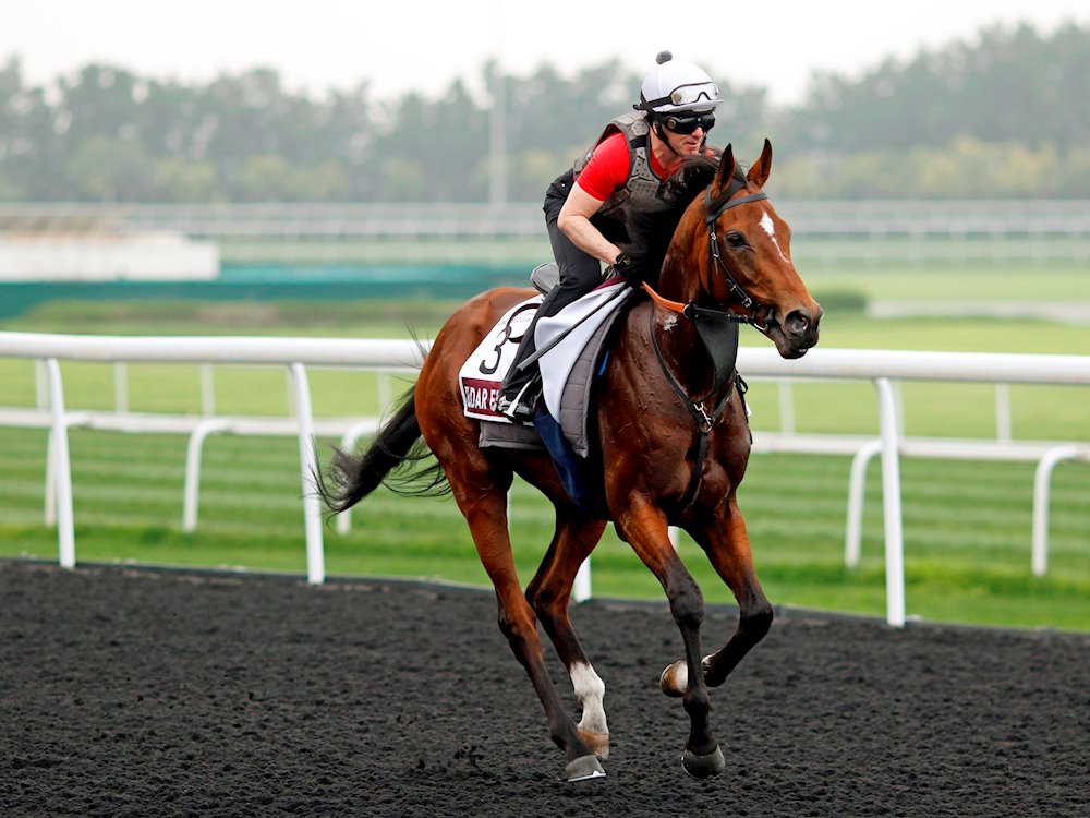 An update on Eldar Eldarov - Varian Stables